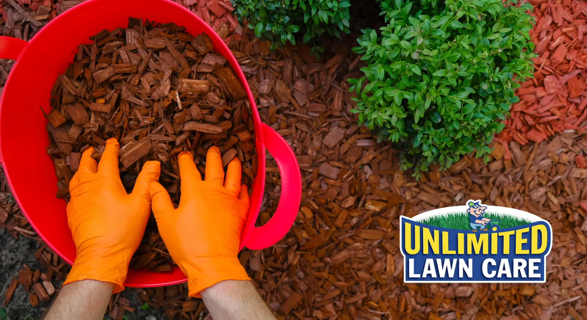 Why Fall Mulching is Essential for Your Lawn | 6 Mulching Benefits